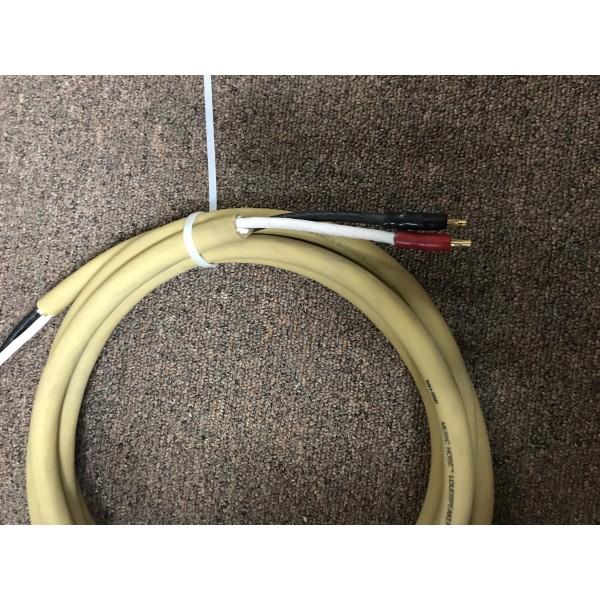 MIT MH650 Music Hose 10 foot single banana to banana